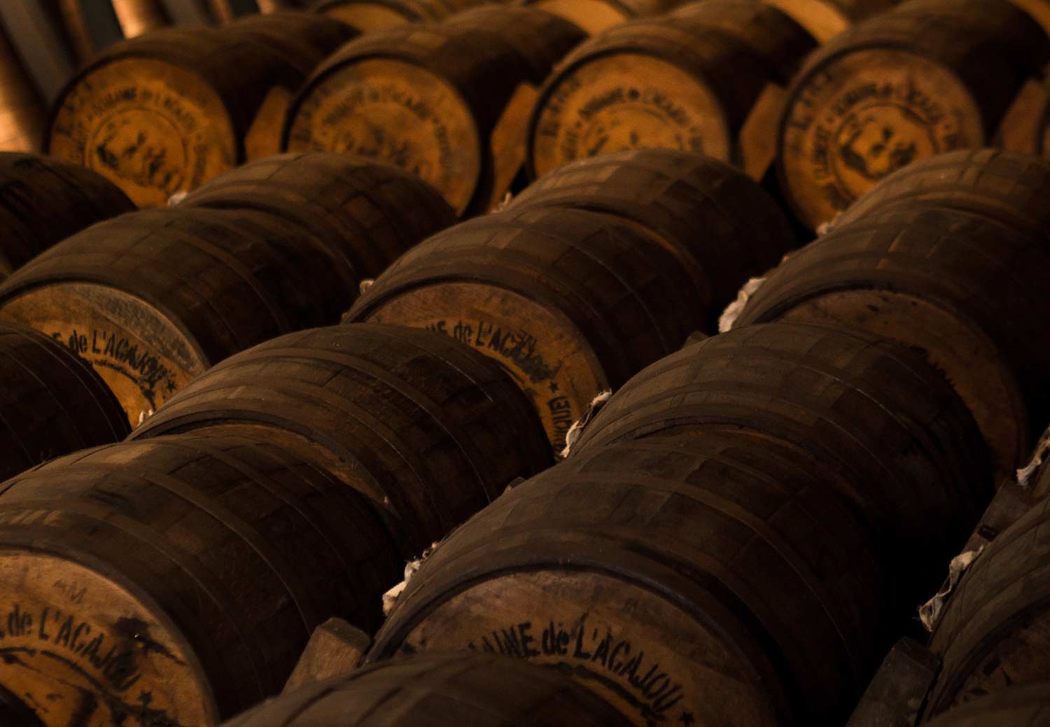 The History of White Rum – MOUNTS BAY DISTILLERY