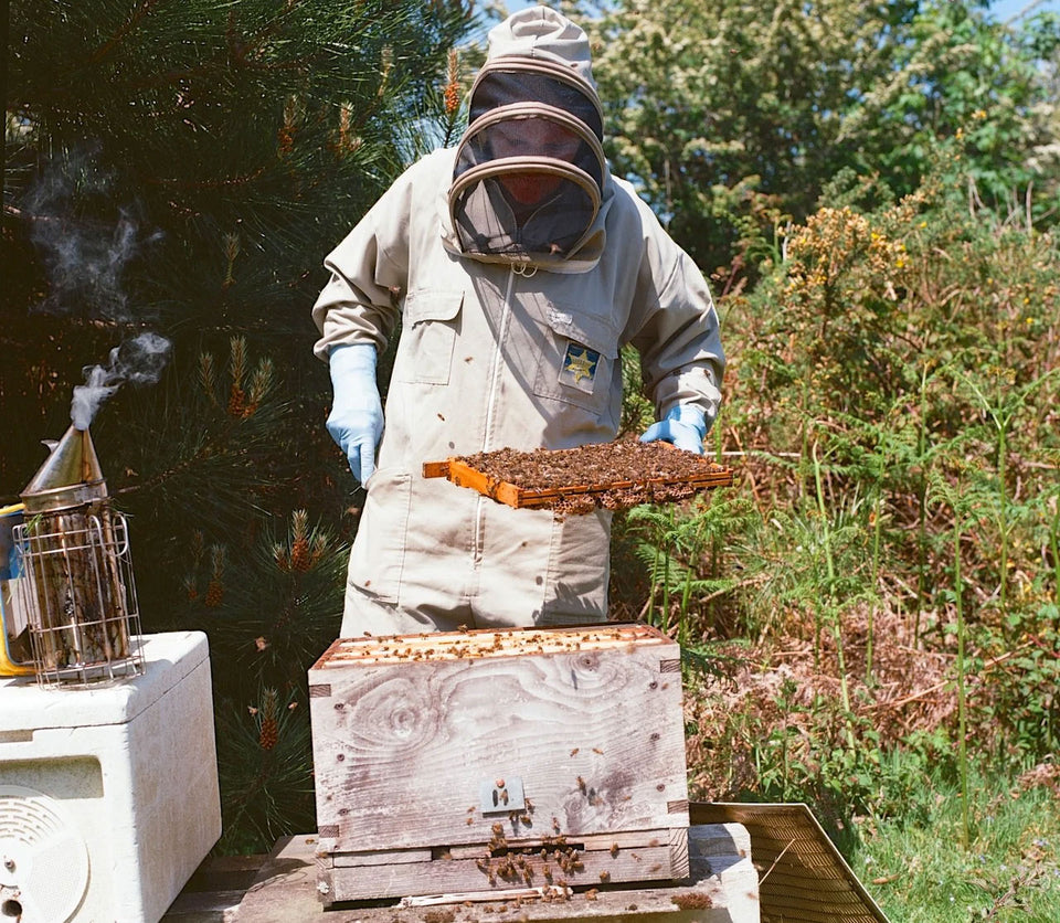 Show me the Honey Rum form Mounts Bay Distillery